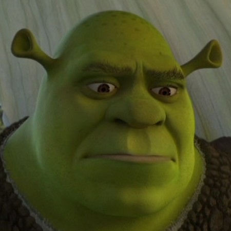 Shrek Mad Shrek Mad Libs By Leonard Stern; Roger Price 9780843176988