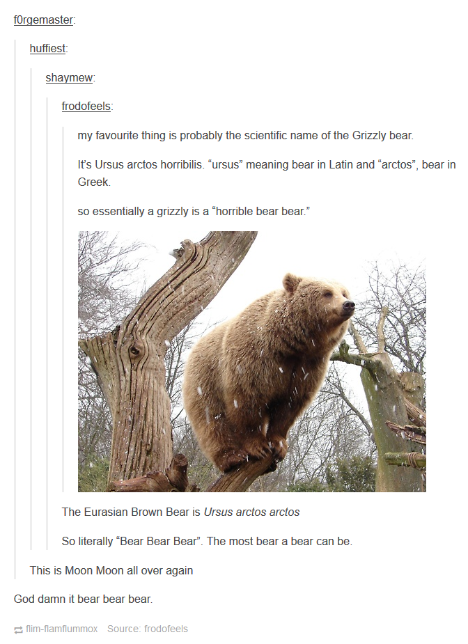 Distorted Resonance [MLP:FiM SI] | Page 48 | SpaceBattles