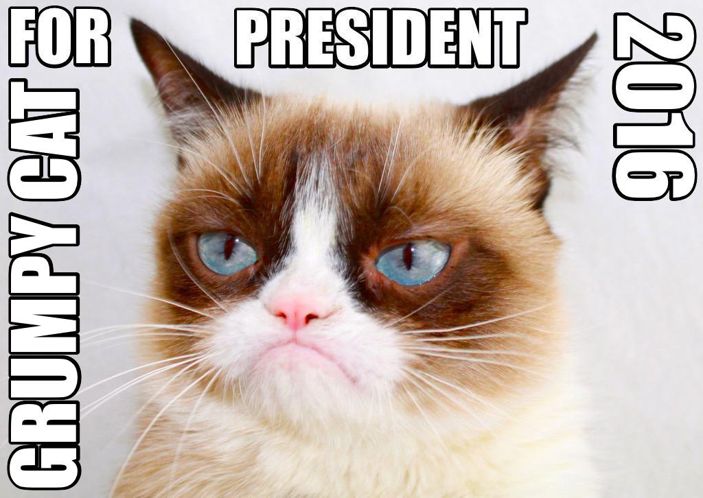50 People I'd Rather Vote For Than Trump Or Clinton | The Odyssey Online